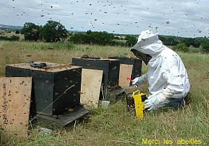 Fabrication du miel d'abeilles